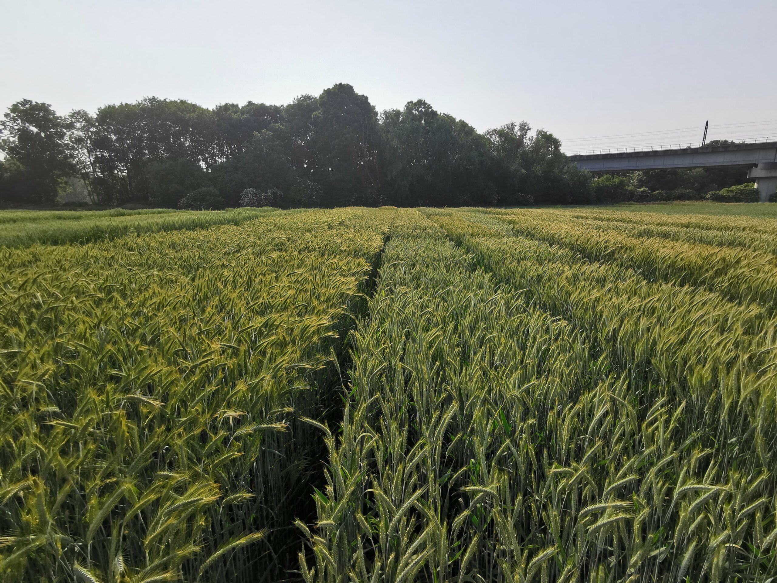 CARAH | Province de Hainaut - Chaque jour avec vous!