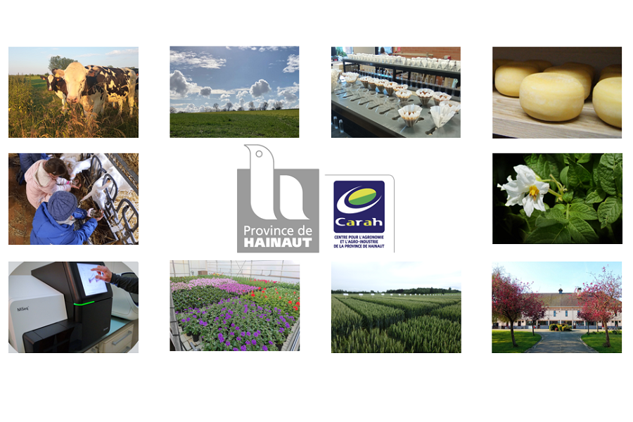 Ferme expérimentale et pédagogique | CARAH